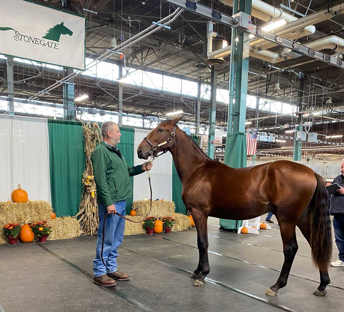 Stonegate Farm Gallery