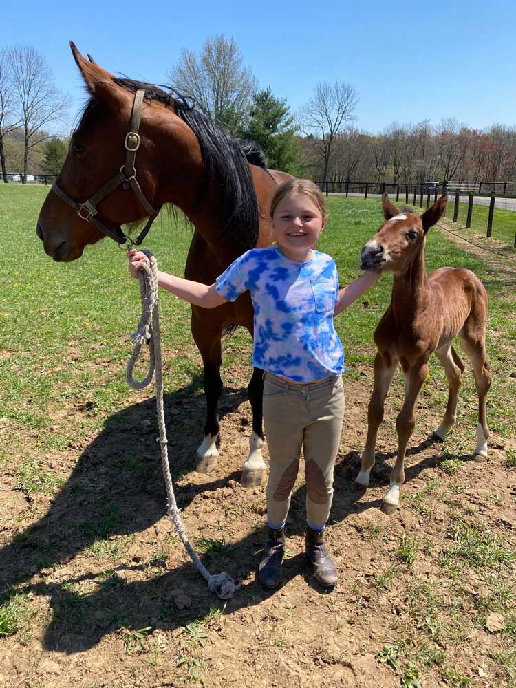 Stonegate Farm Gallery