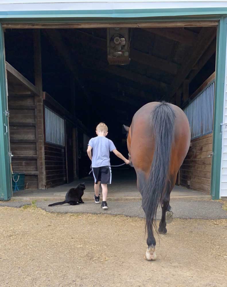 Stonegate Farm Gallery