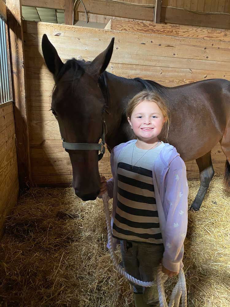 Stonegate Farm Gallery