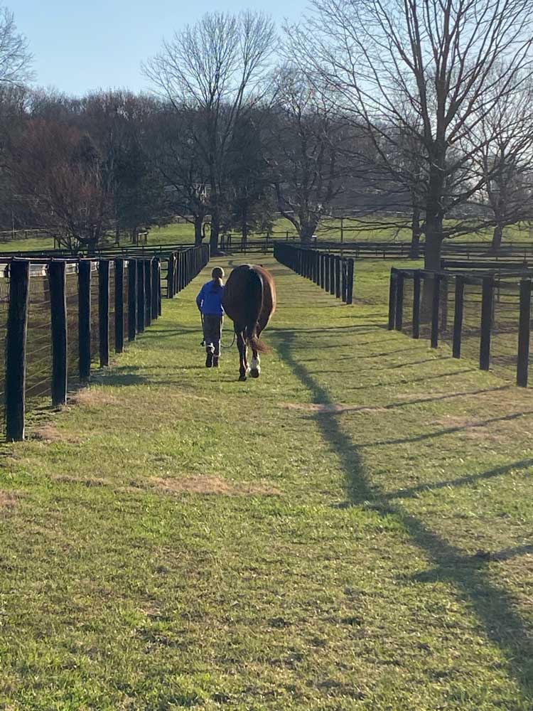 Stonegate Farm Gallery