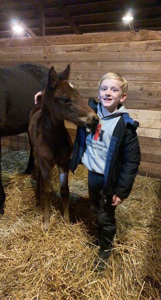 Stonegate Farm Gallery