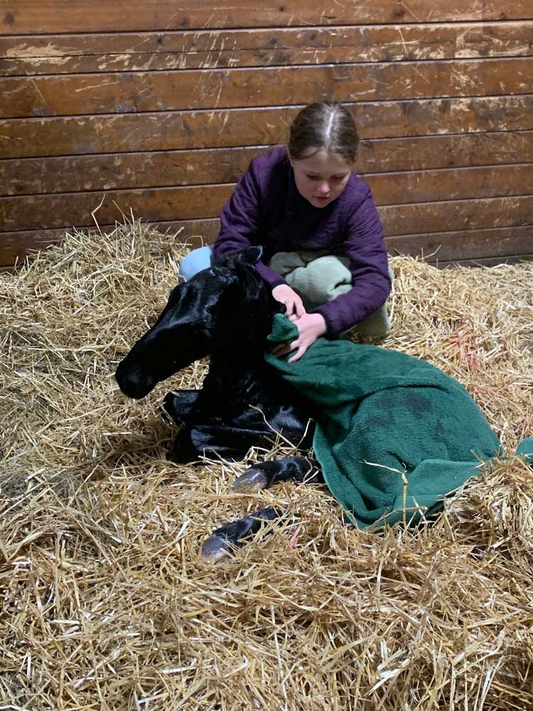 Stonegate Farm Gallery