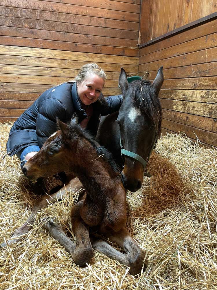 Stonegate Farm Gallery