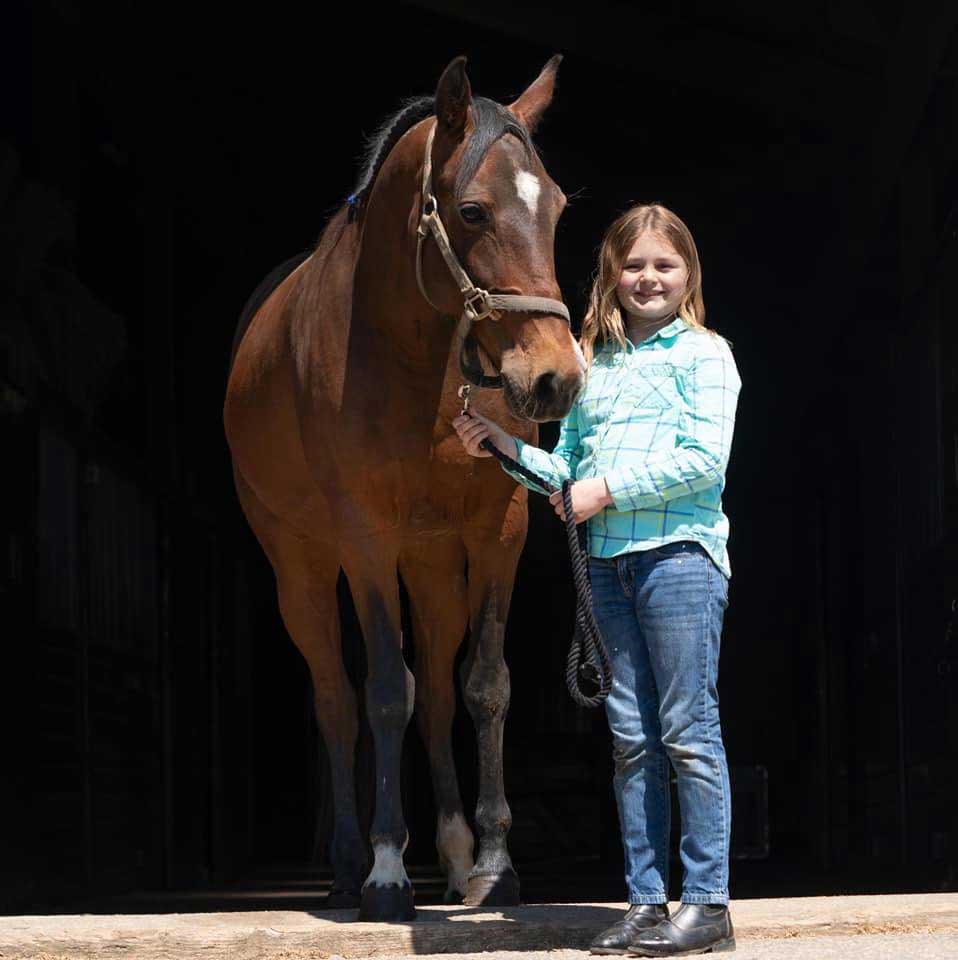 Stonegate Farm Gallery