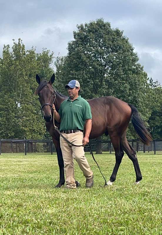 Stonegate Farm Gallery