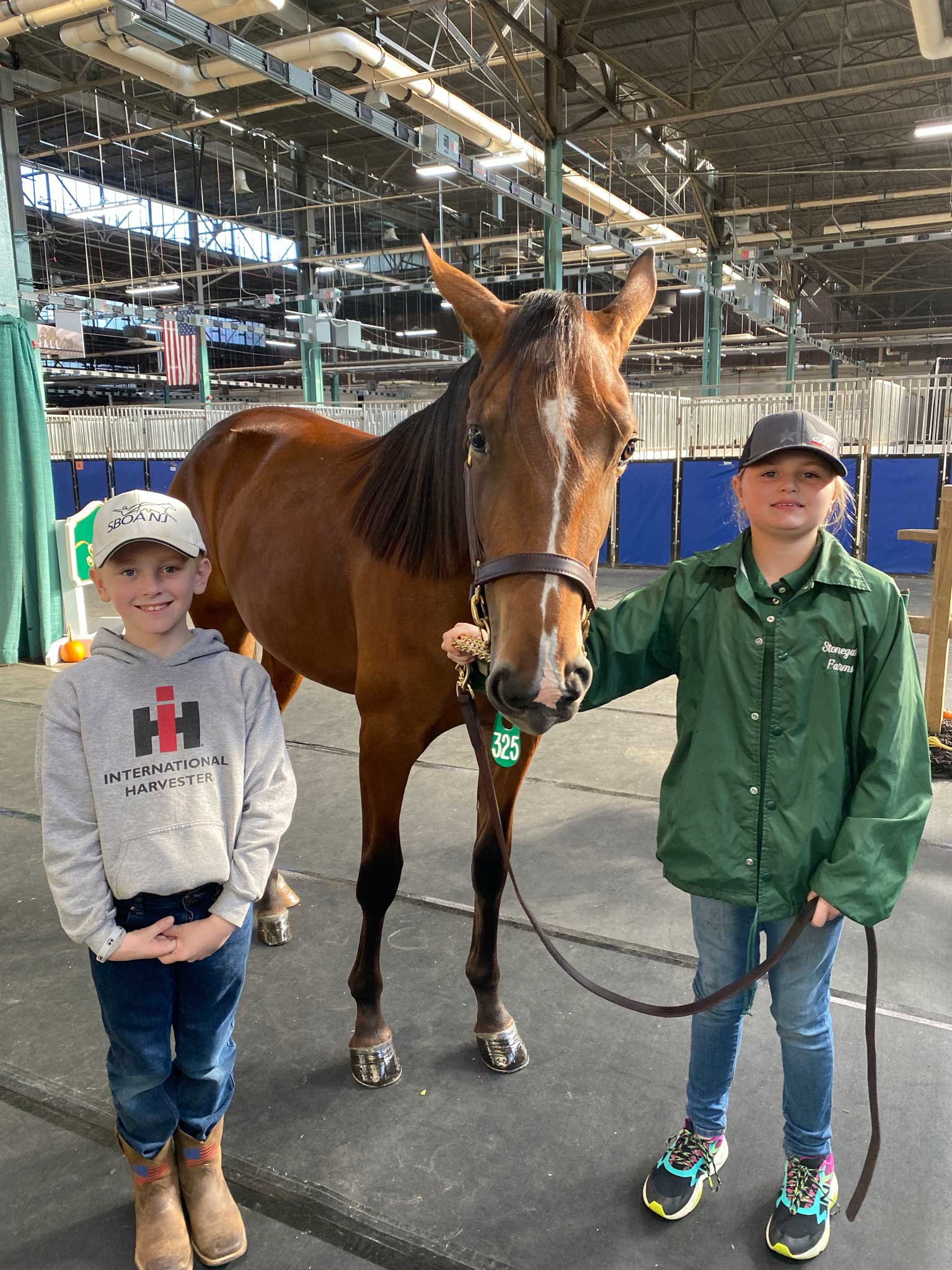 Stonegate Farm Gallery