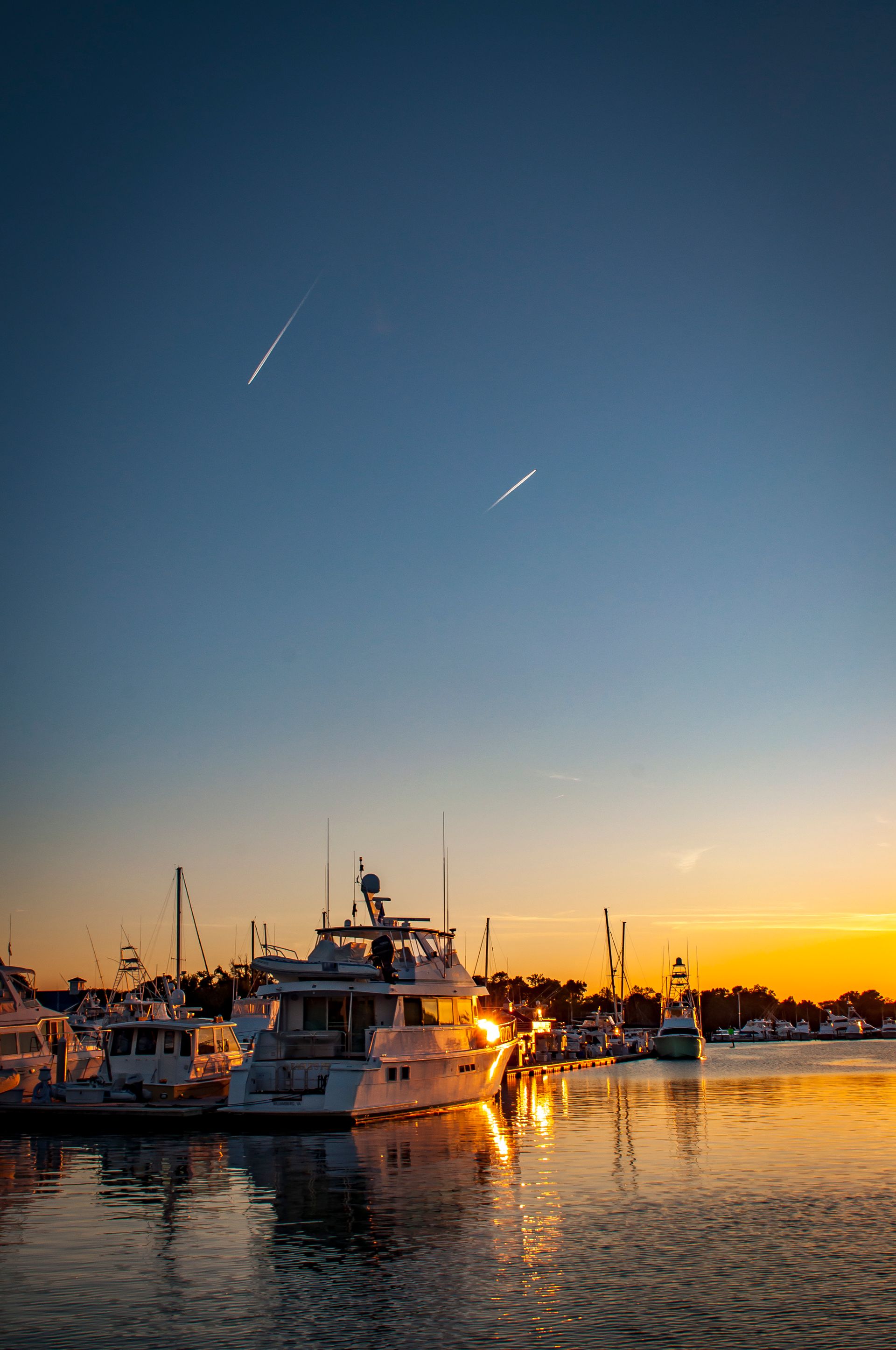 Home [www.hamptonharbortours.com]