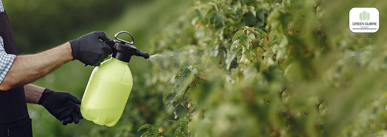 Foliar Fertilizers for Fast Crop Recovery | Green Gubre Group
