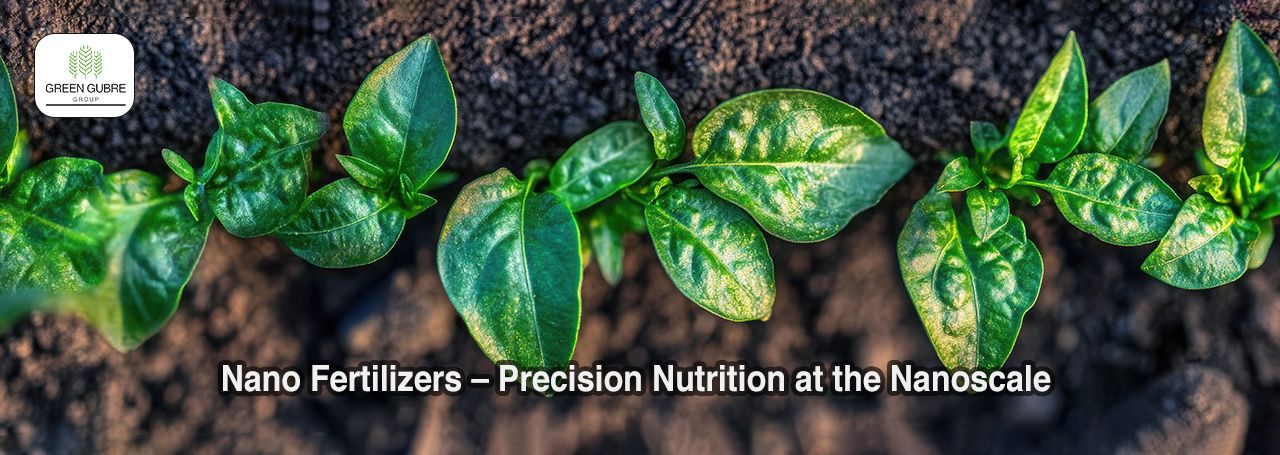 Nano Fertilizers for Efficient Farming | Green Gubre Group