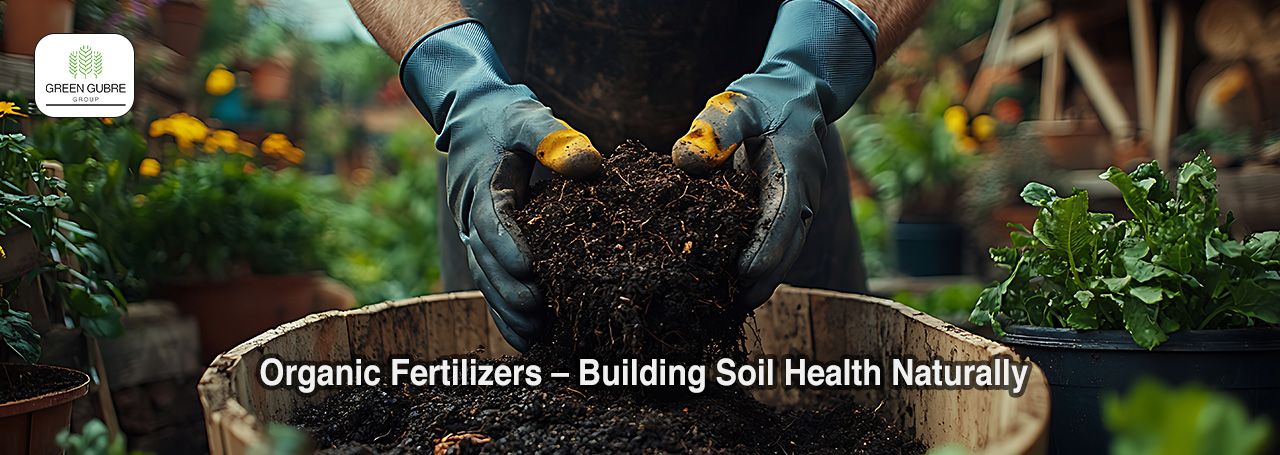 Organic Fertilizers for Soil Health | Green Gubre Group