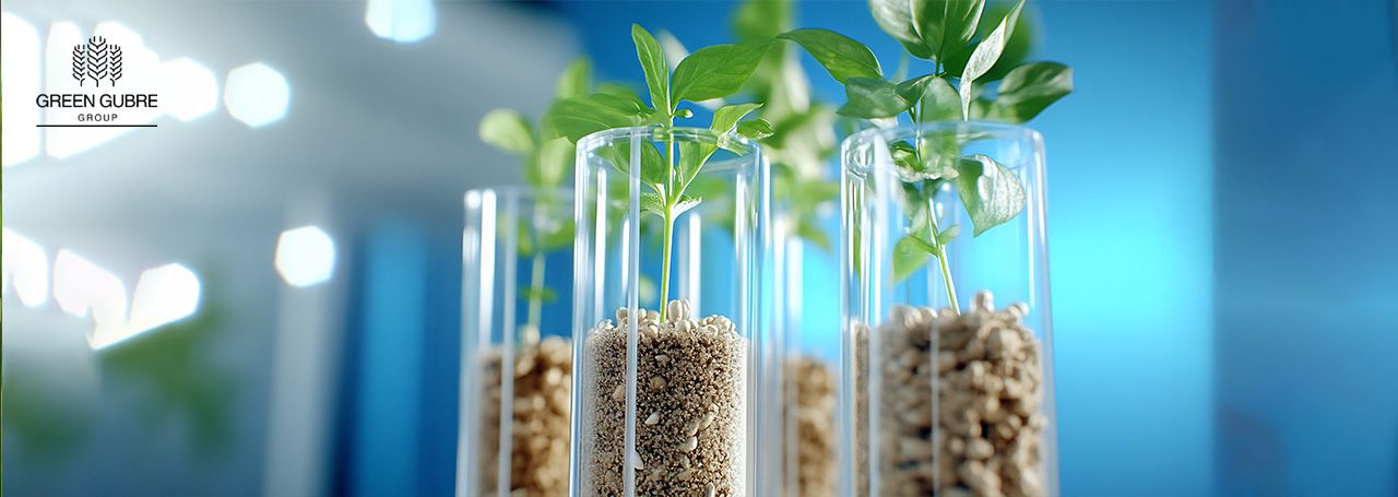 Biostimulants for Sustainable Crop Growth | Green Gubre Group