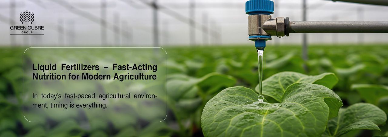 Liquid Fertilizers for Fast Crop Nutrition | Green Gubre Group