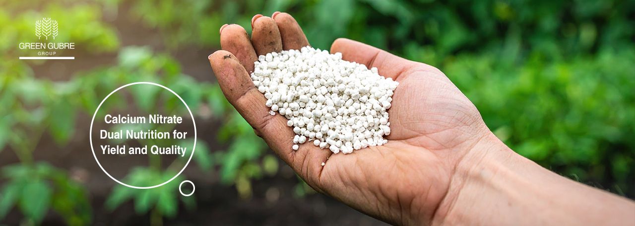 Calcium Nitrate for Crops | Green Gubre Group