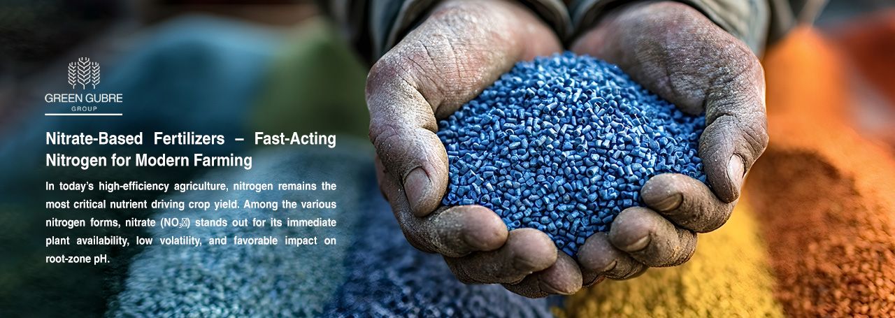Nitrate Fertilizers for Fast Growth | Green Gubre Group