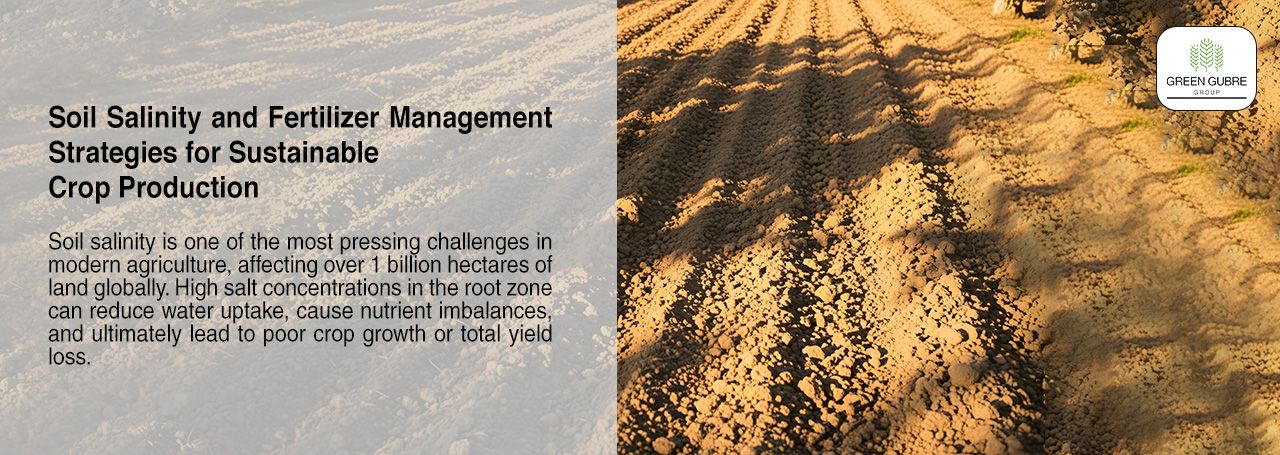 Salinity-Smart Fertilizers for Problem Soils | Green Gubre Group