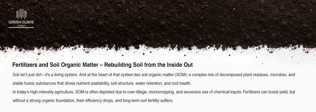 Fertilizers & Soil Organic Matter | Green Gubre Group
