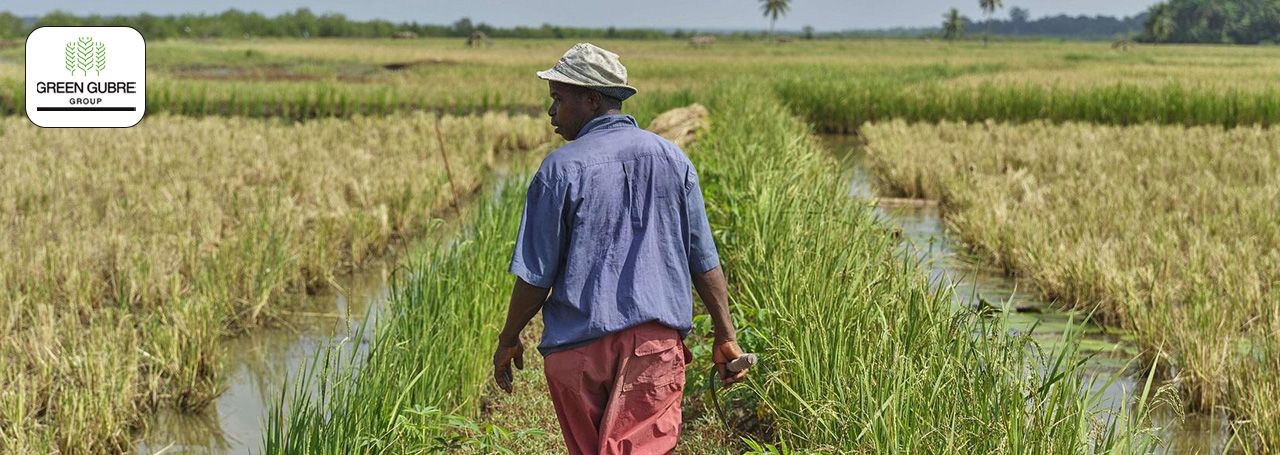 Crop Diversification for Resilient Farming | Green Gubre Group