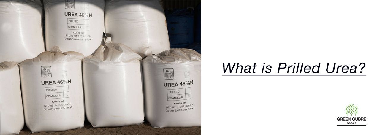 The Benefits of Prilled Urea | Green Gubre Group