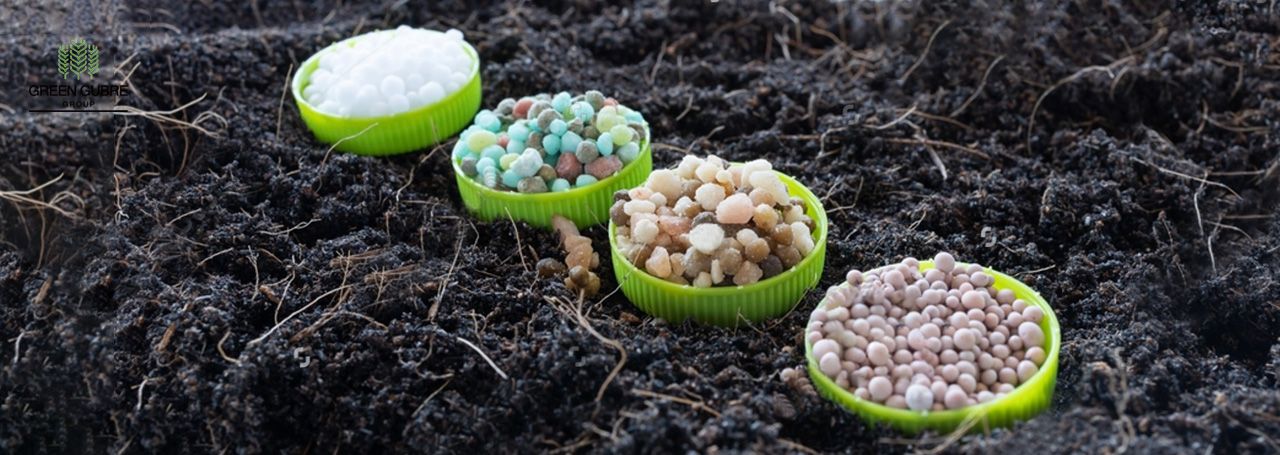 Sustainable Farming with Urea | Green Gubre group