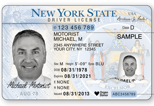 Undocumented Immigrants In NY Can Obtain Drivers Licenses