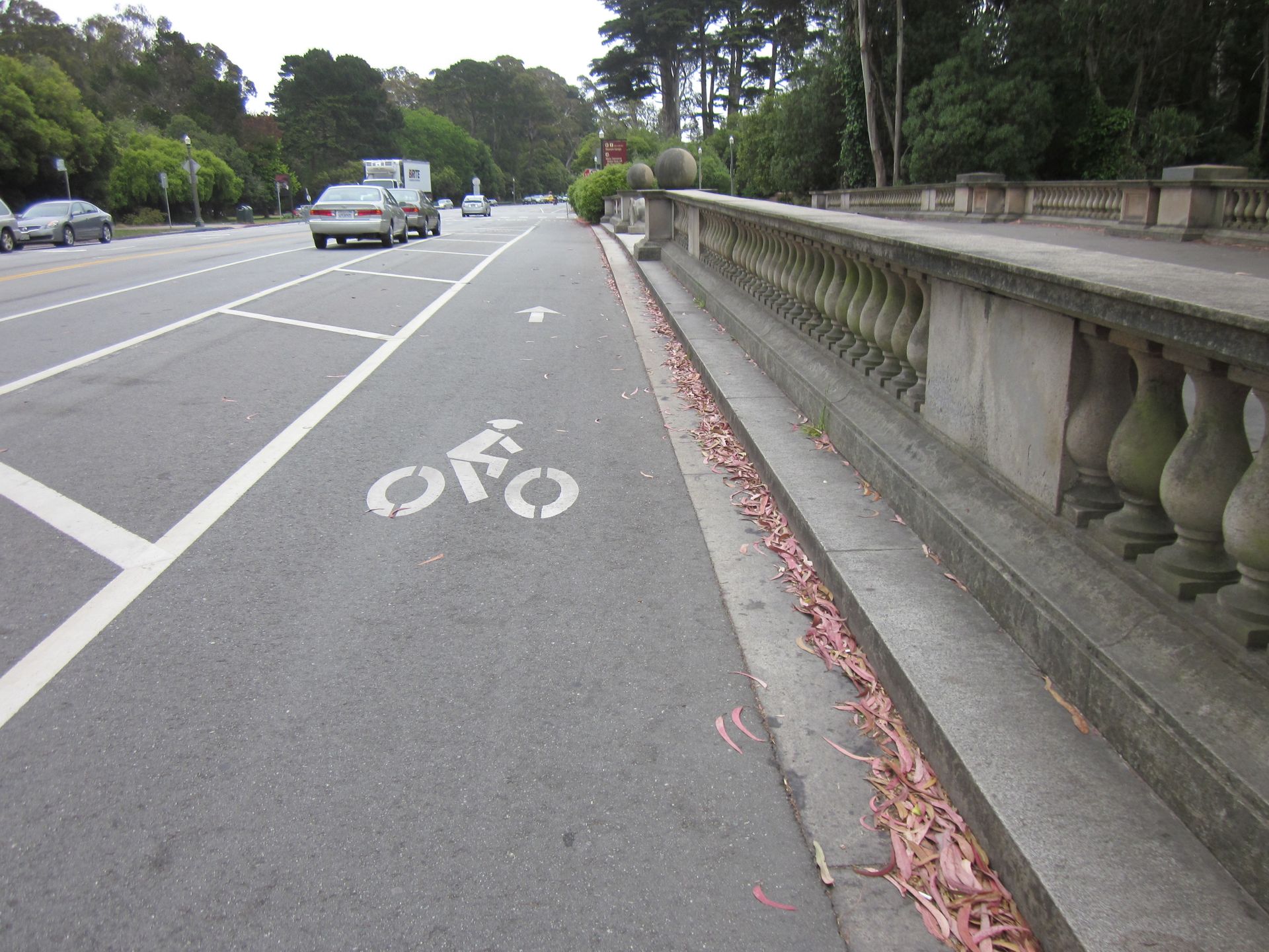 The Bicycle Lane Debate: Should Motorists Share the Road?