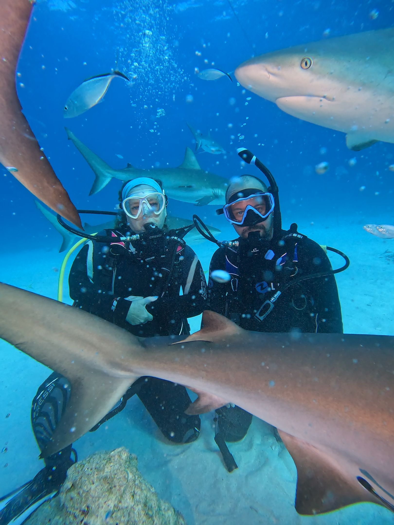 Beaver Dam Dive Shop & Resort | Photo Gallery | Eureka Springs