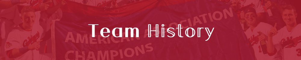 History | Winnipeg Goldeyes