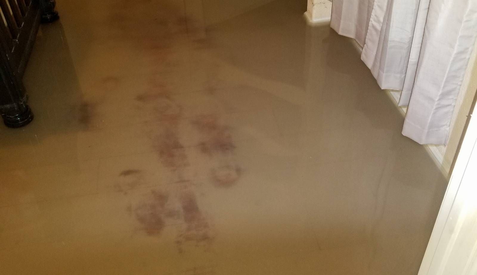 The Hidden Dangers of Standing Water in Your Home: Health Risks ...