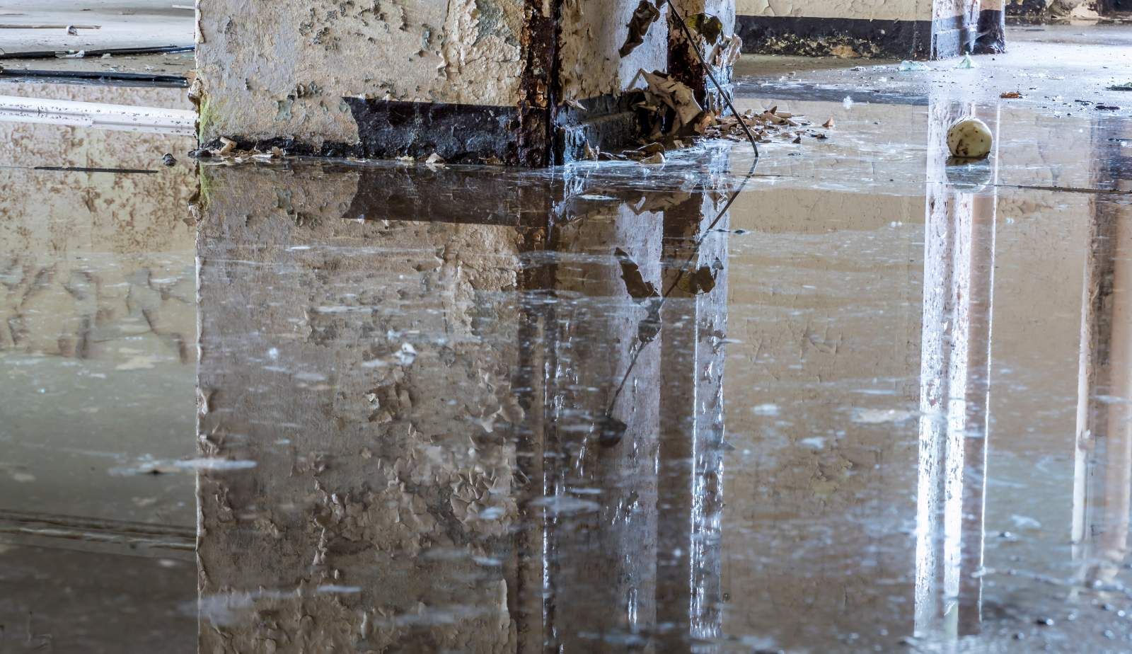 Understanding the Water Damage Timeline: Essential Immediate Actions