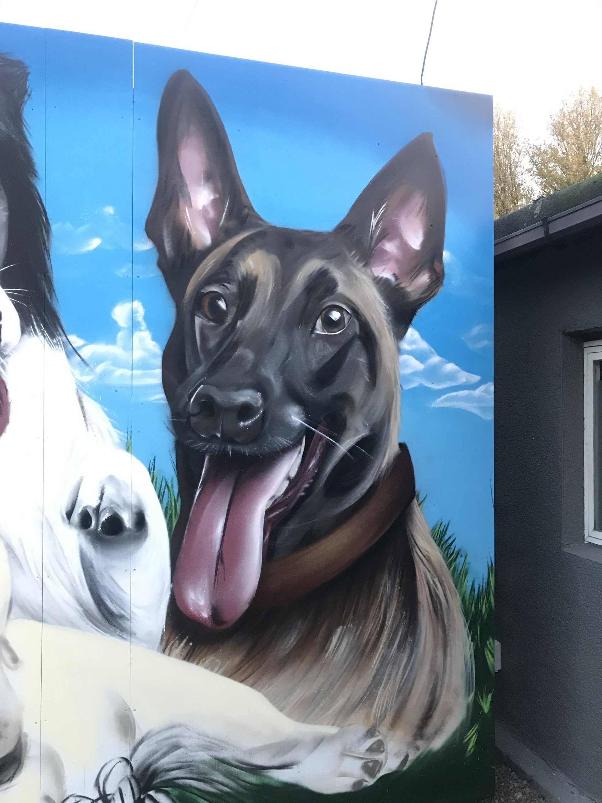 Graffiti Portretten op Maat | Aces Graffiti