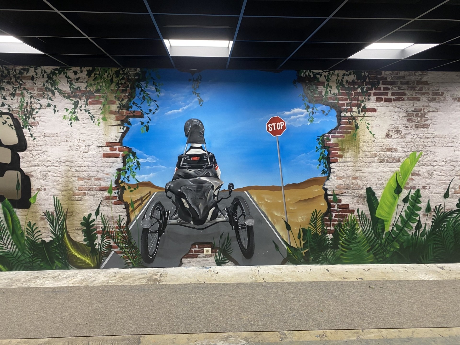 Unieke Graffiti Eyecatchers | Aces Graffiti