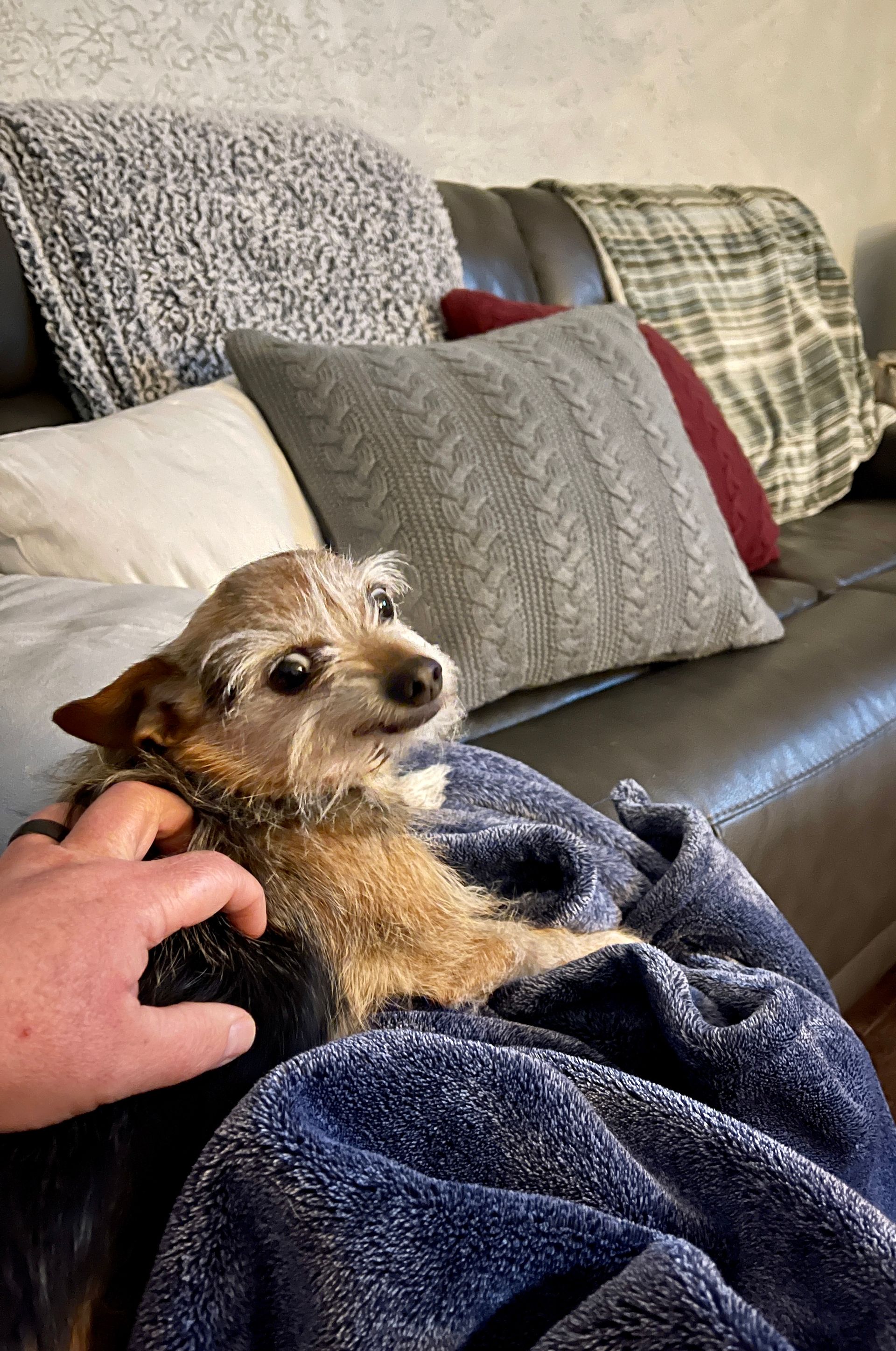 Tetris Game | The Christian Center