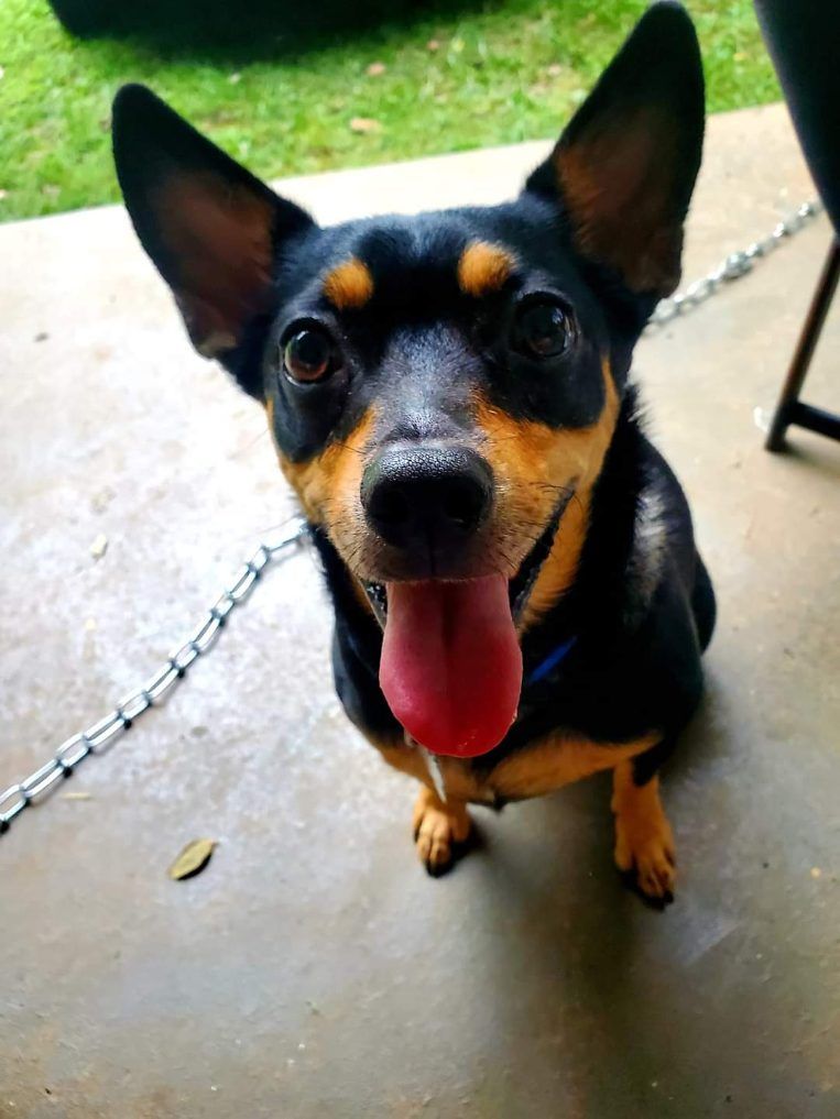 Tetris Game | The Christian Center