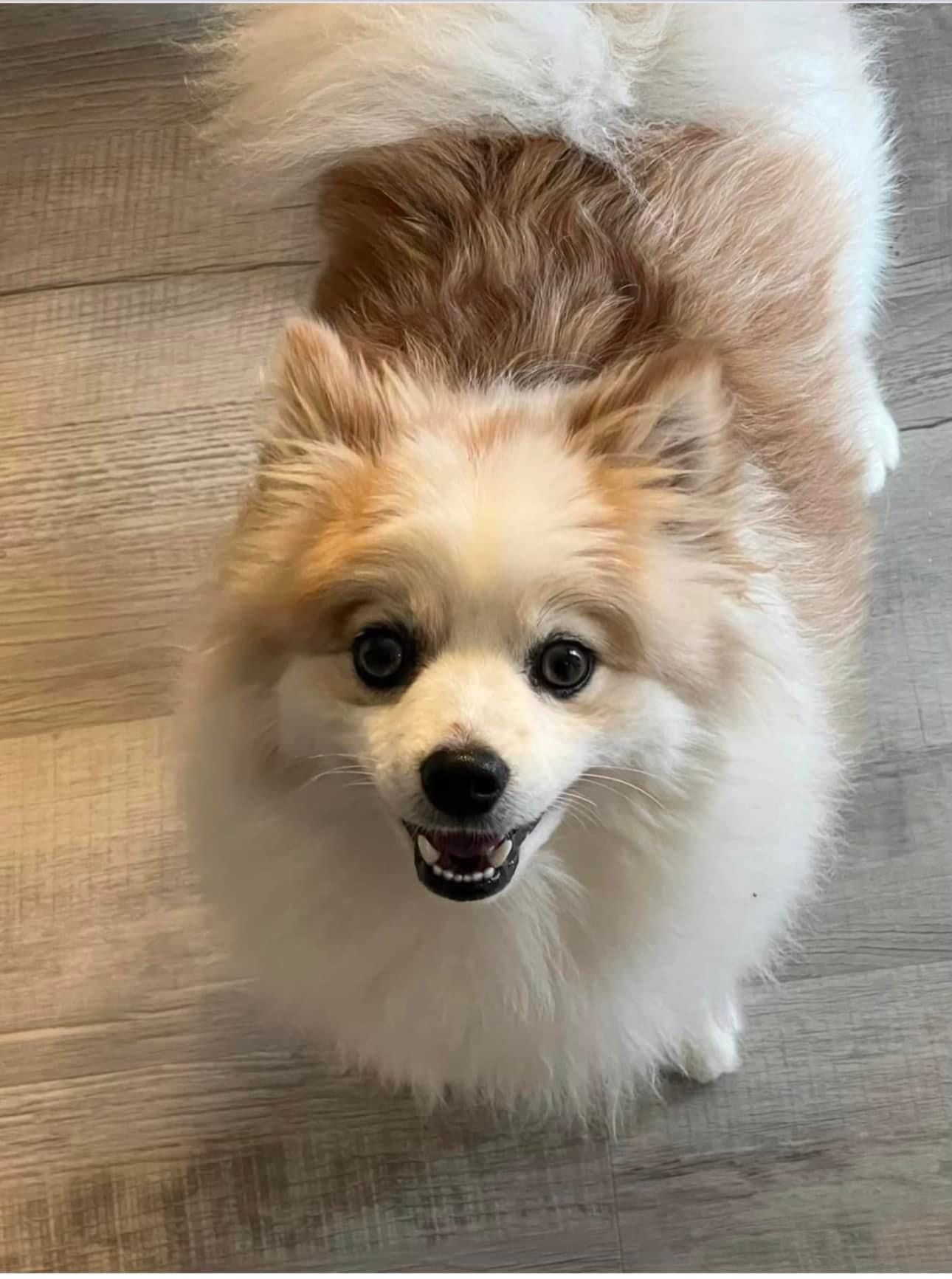 Tetris Game | The Christian Center