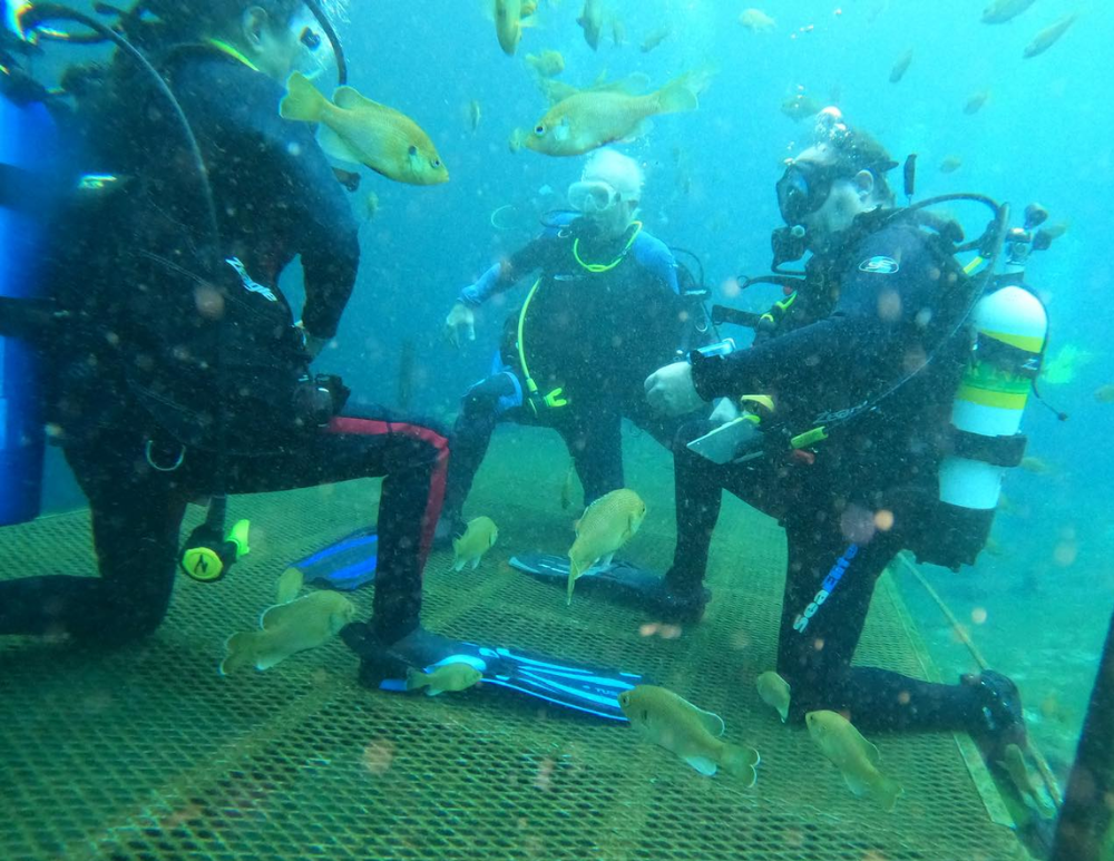 Home [firstcoastscubadiving.com]