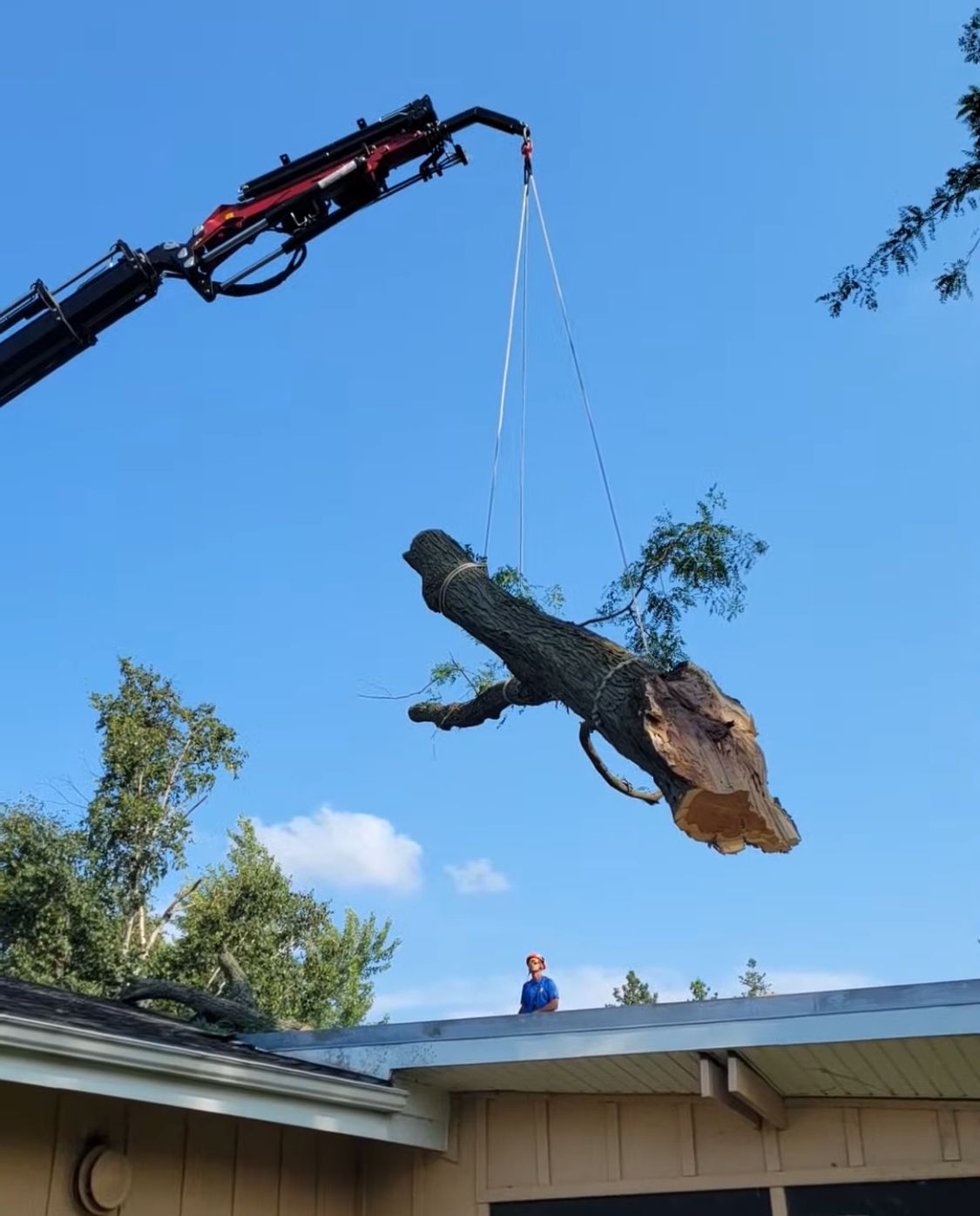 Residential Tree Care | Skyline Tree Service