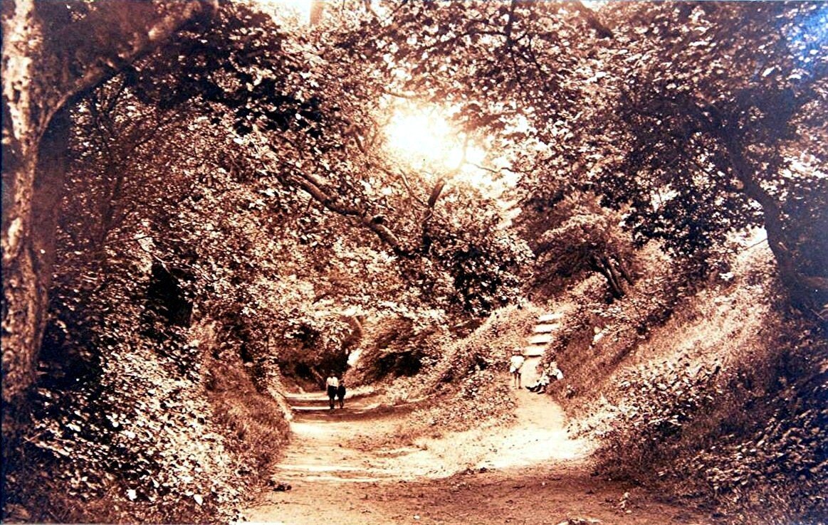 Shincliffe Local History Society