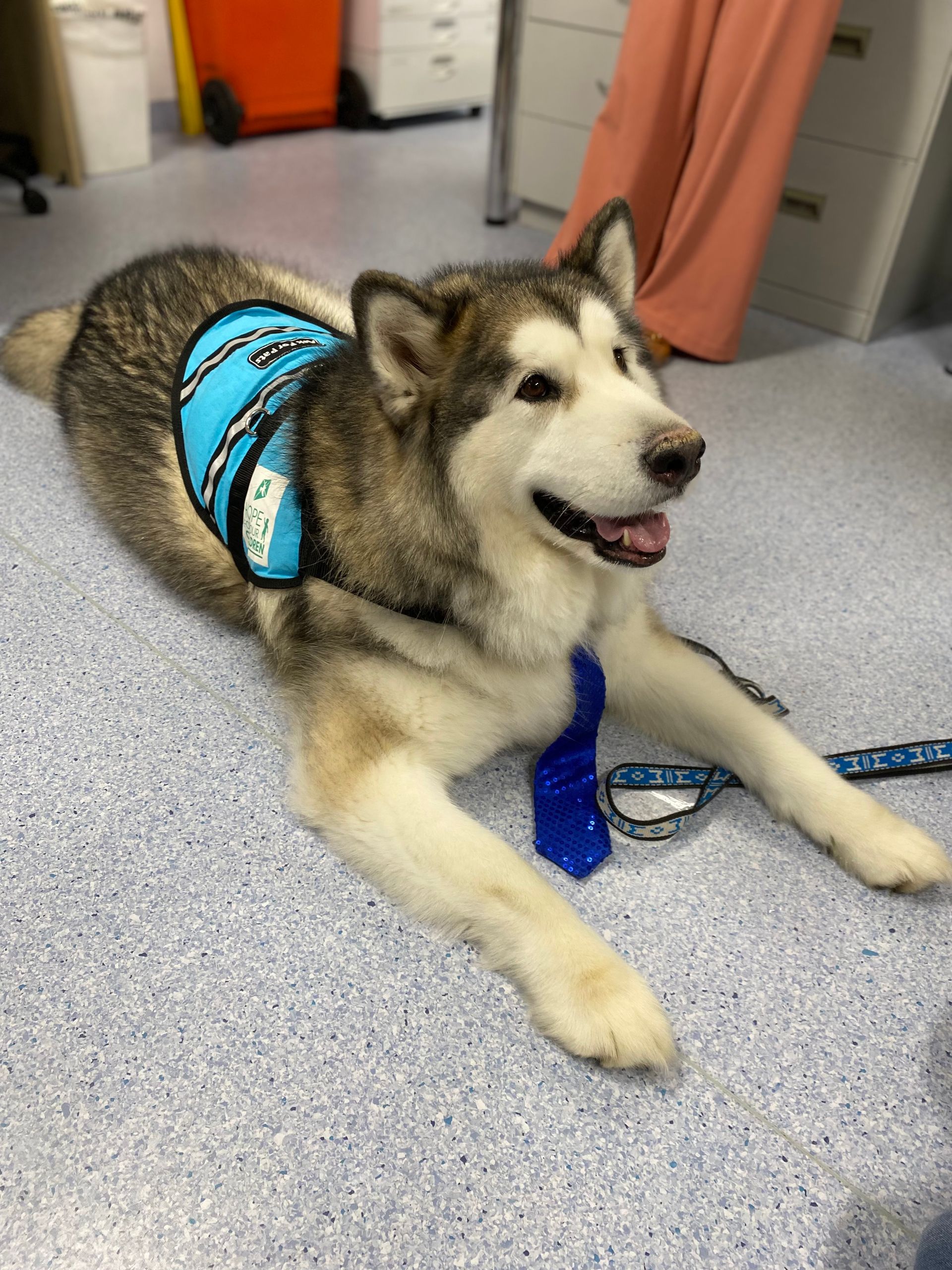 Dogs of Hope Program | Hope For Our Children