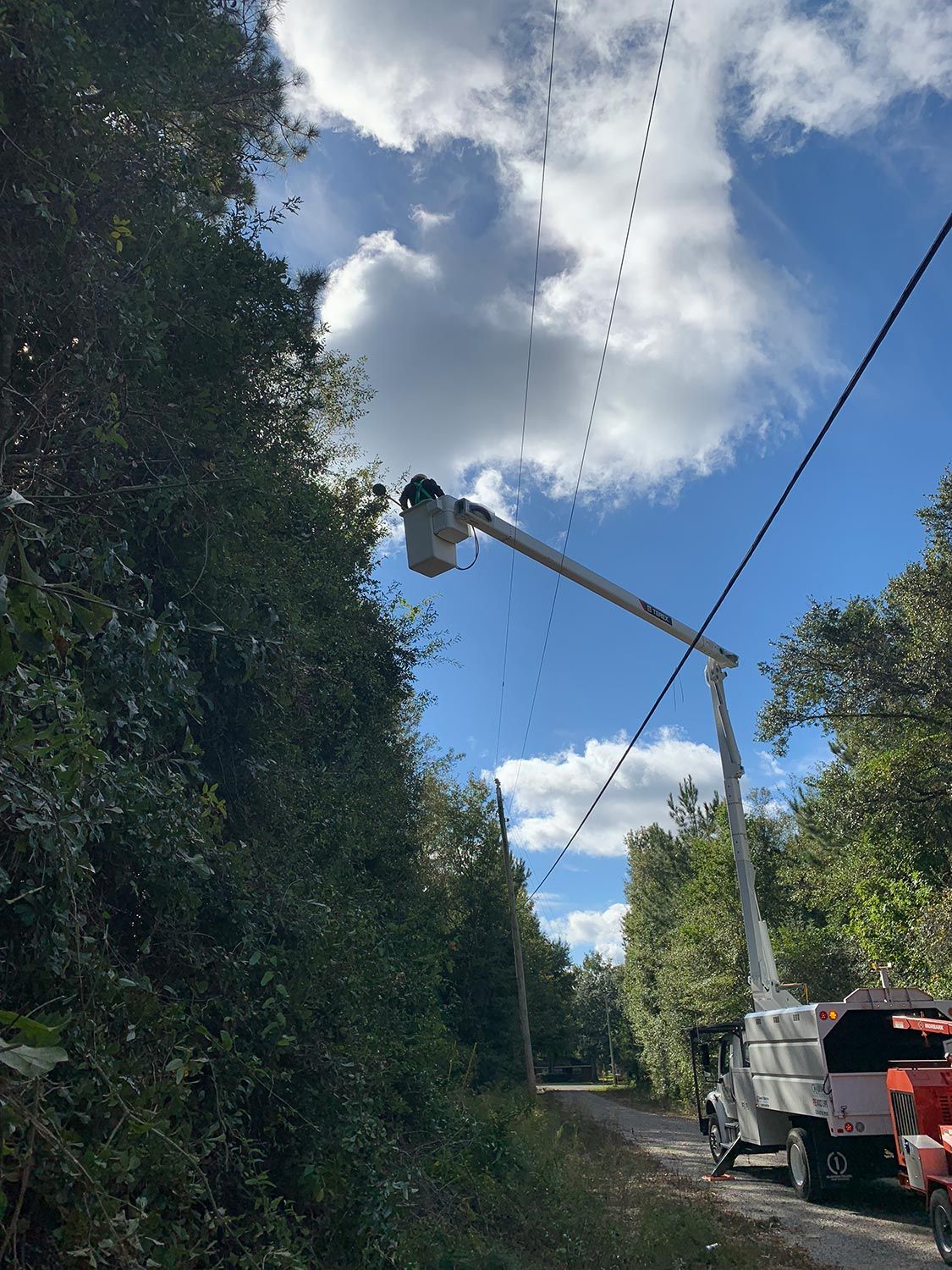 Meet the Team at Townsend Tree Services | Bethel, VT