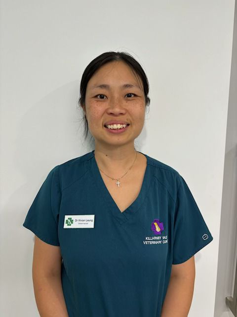 Our Team | Killarney Vale Veterinary Clinic