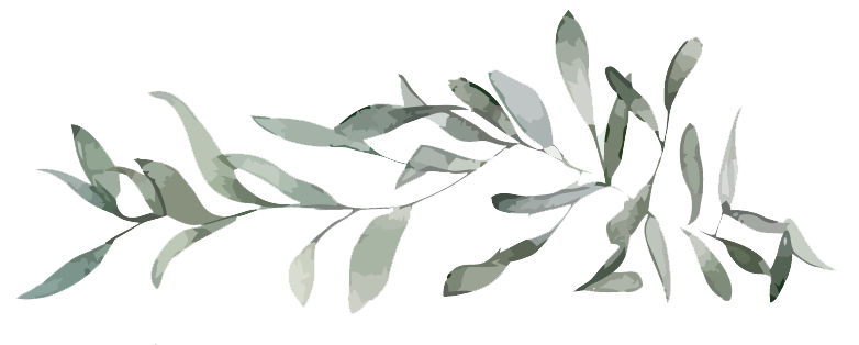 Cedar Ridge Farm | Wedding Venue | York, PA