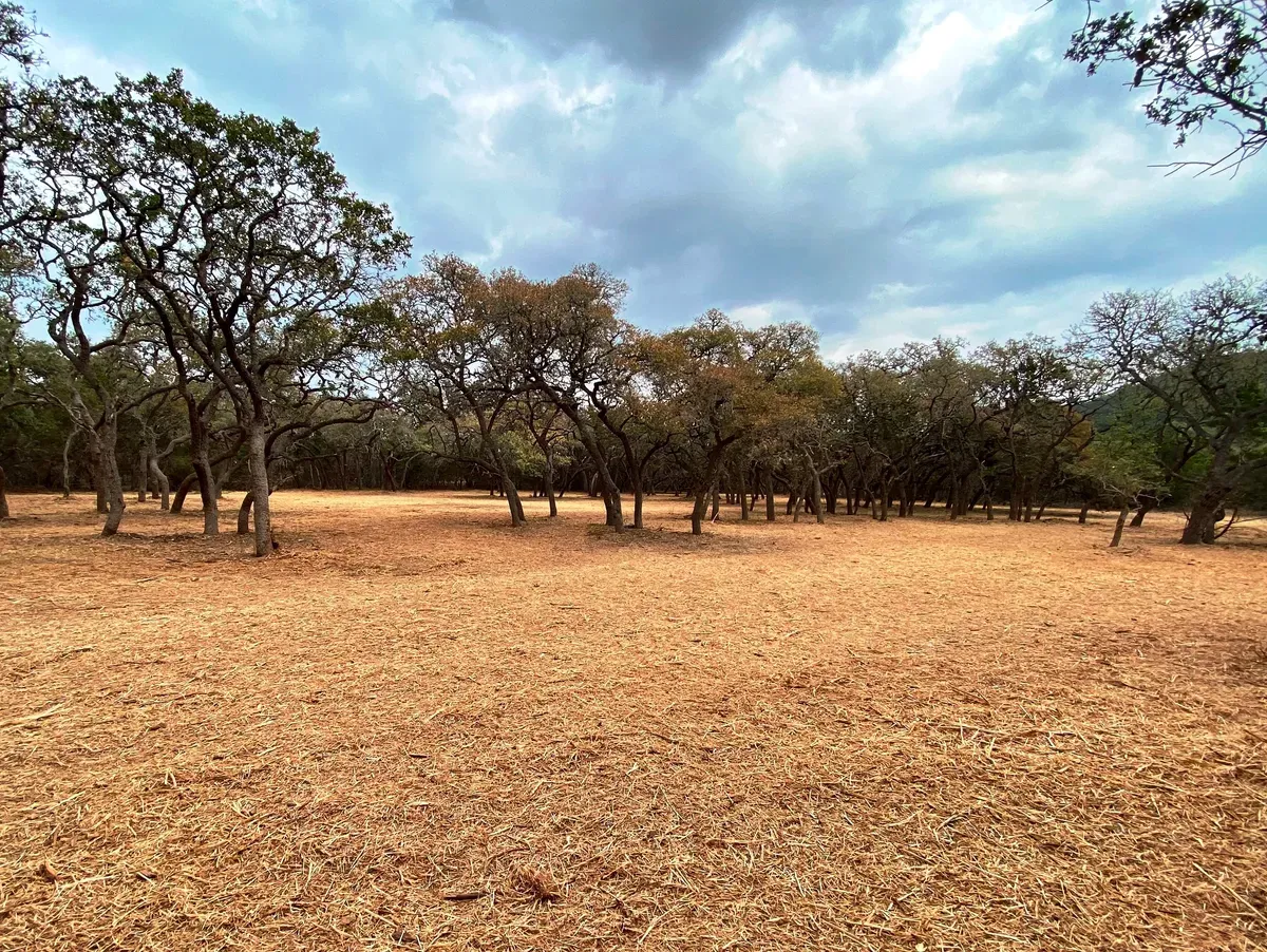 Land Clearing Contractor - McAllen, TX & the RGV
