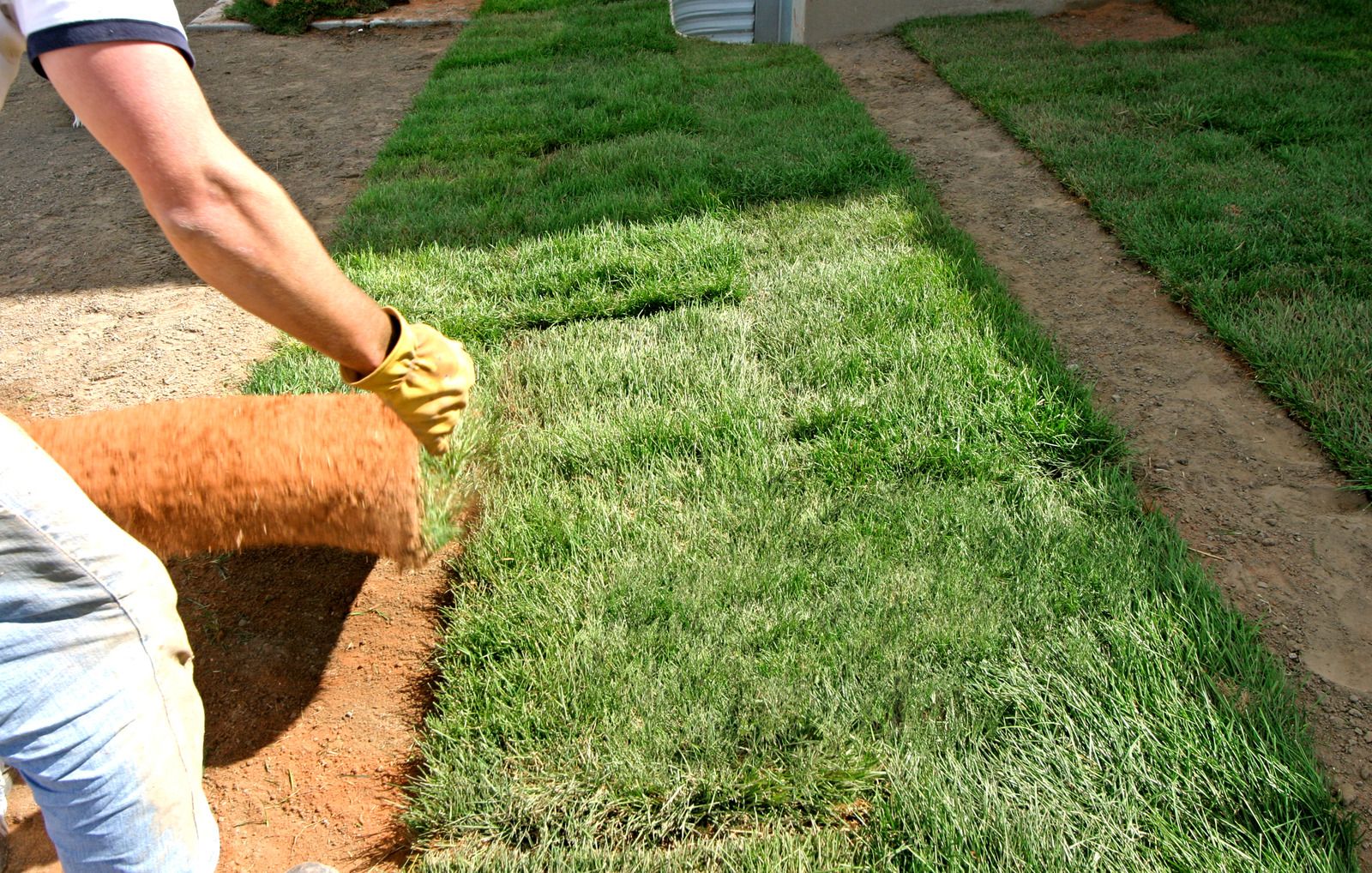 Turf Clips | Landscaping Services