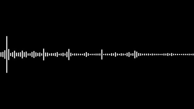 Bringing Sound to Life: Visualizing Audio through Dynamic Visualizations