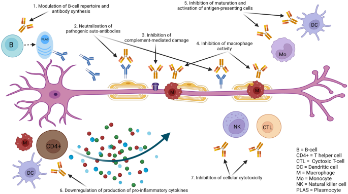 What is Guillain-Barré Syndrome or GBS?