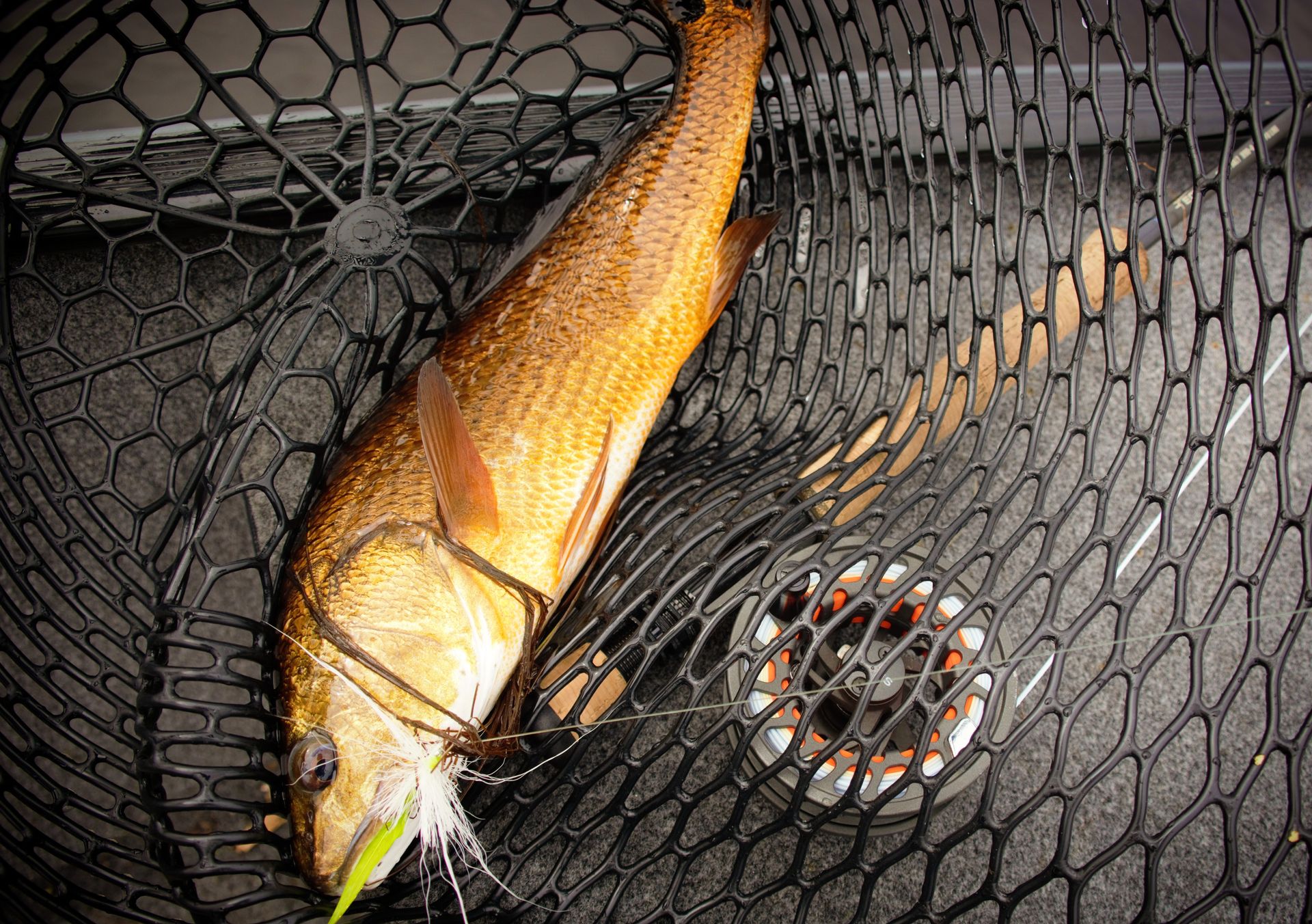 Fly Fishing Charters | Redwater Guide Company | Rosemary Beach, Santa ...
