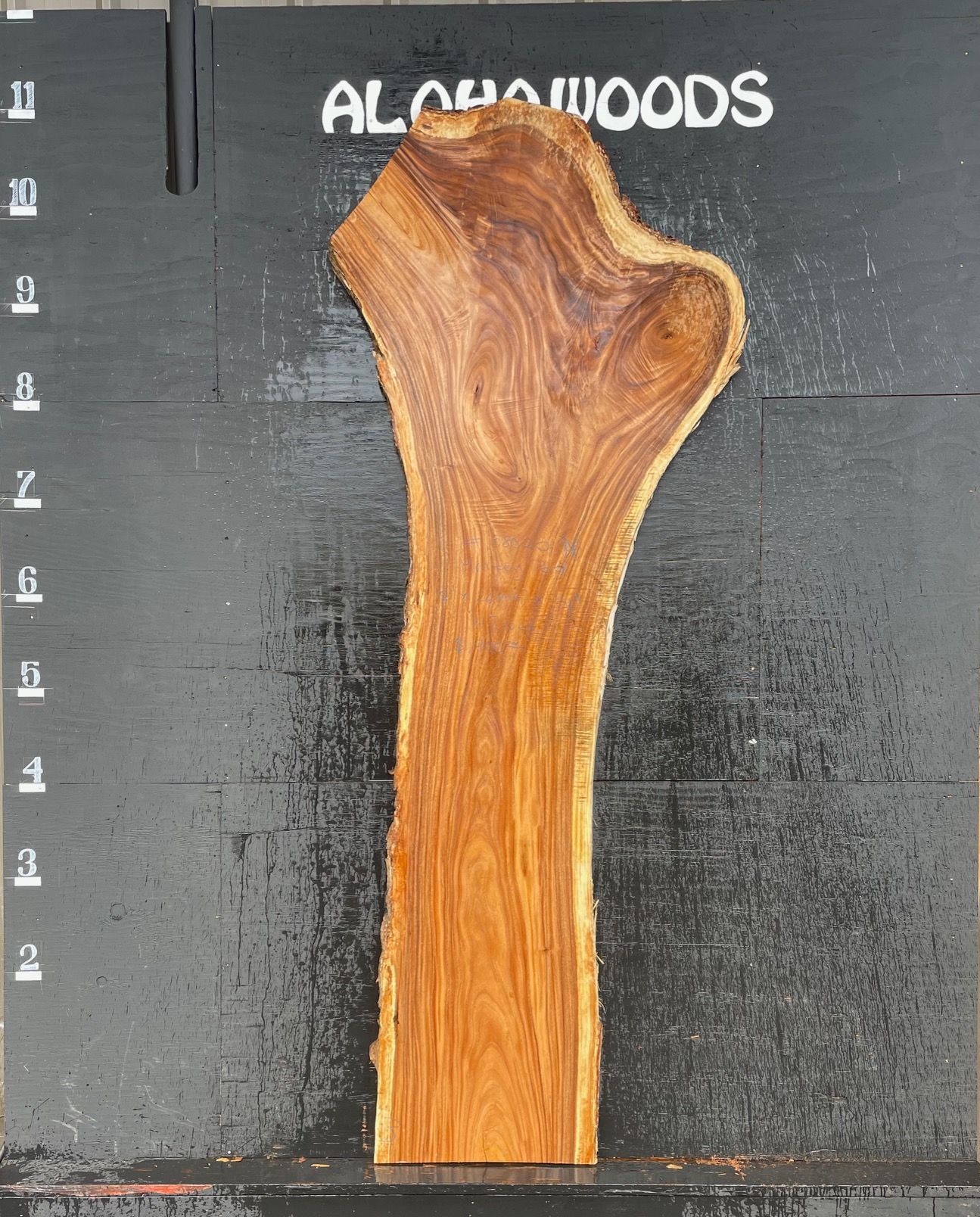 Monkey Pod | Hawaiian Woods | Aloha Woods