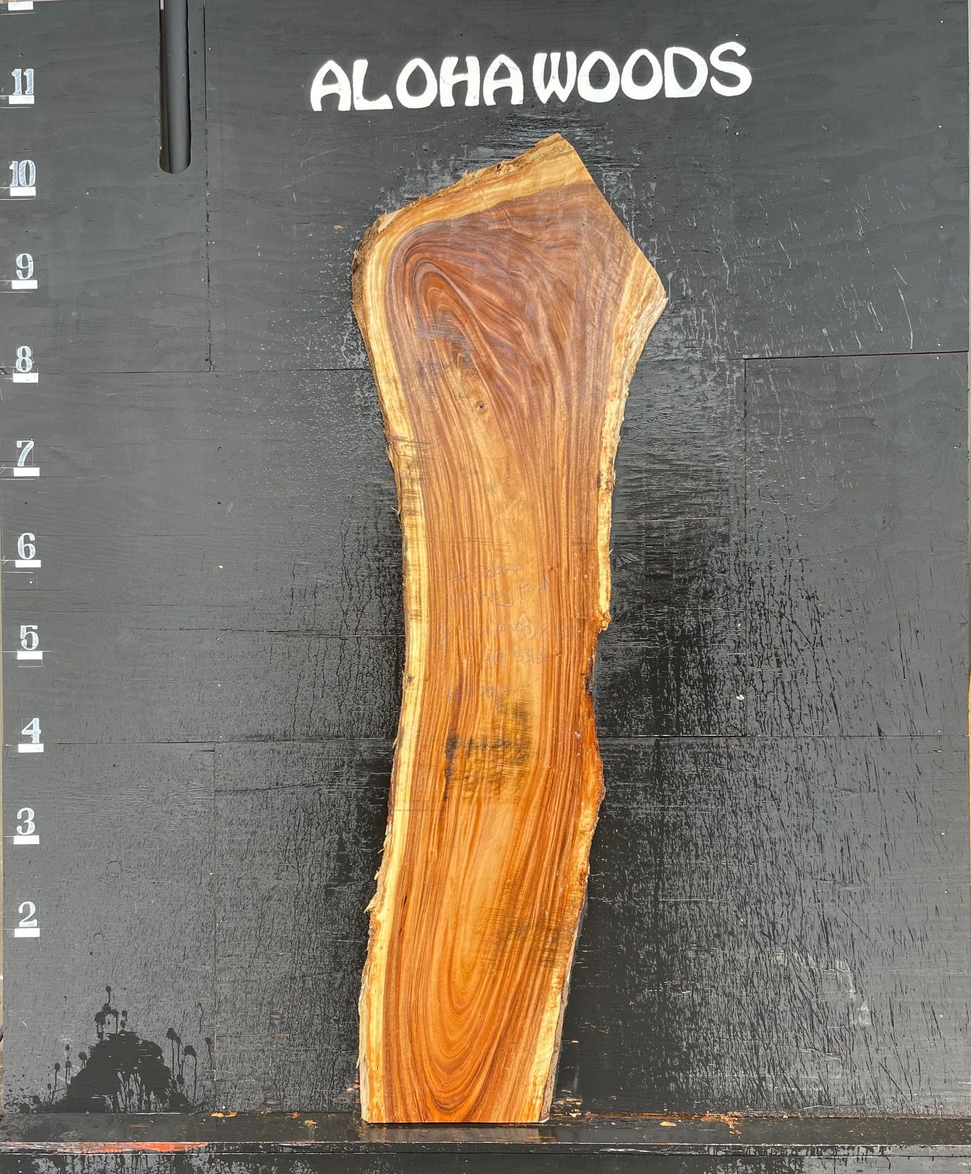 Monkey Pod | Hawaiian Woods | Aloha Woods