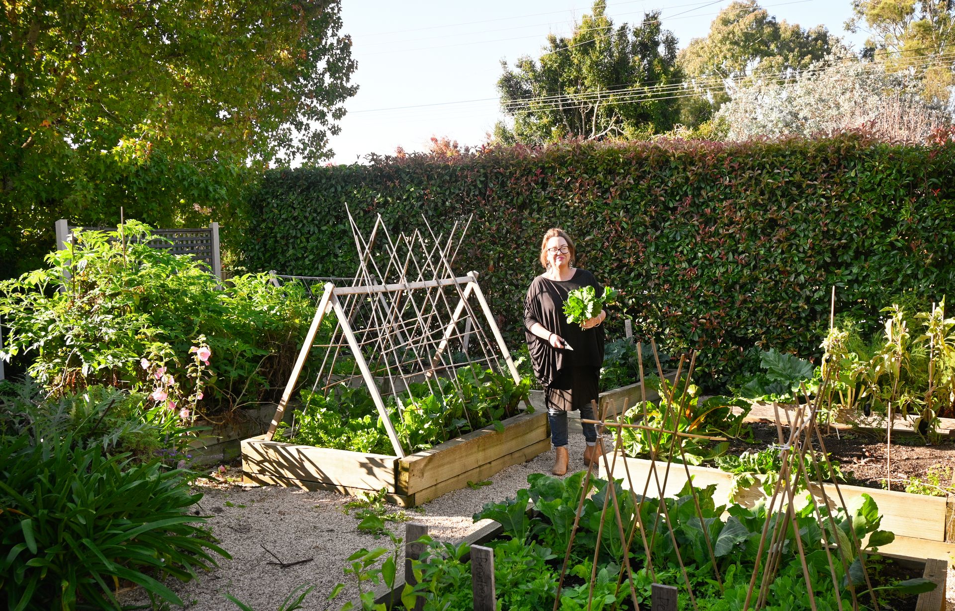 Chelsea Banham Coaching